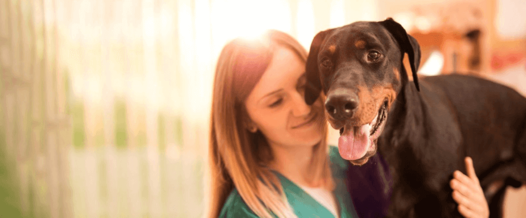 Emergency - Bronx Veterinary Center